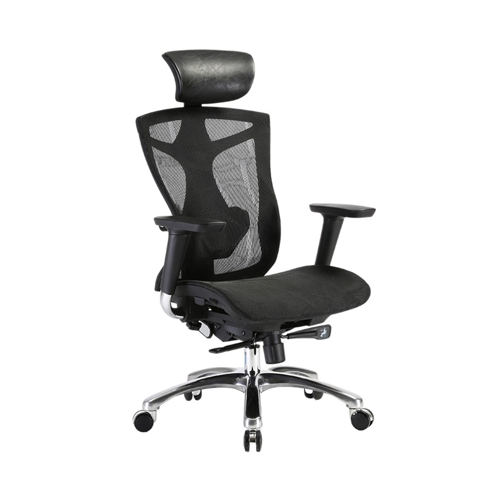 Ergonomic Mesh Office Chair | Premium Office Furniture | Empress Furniture
